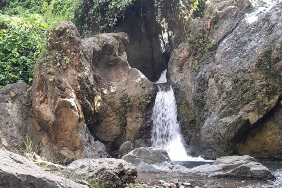 Bo. Rio Abajo, Finca en Utuado