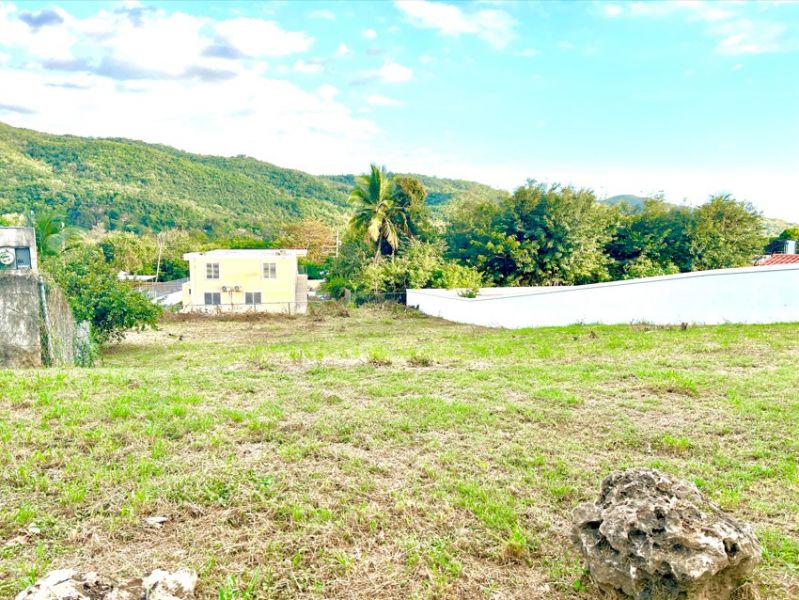 KW Puerto Rico - KW Puerto Rico