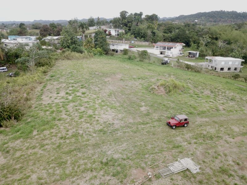 Daisy Laboy - KW Puerto Rico