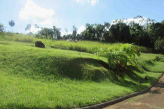 Jade Tavarez - KW Puerto Rico