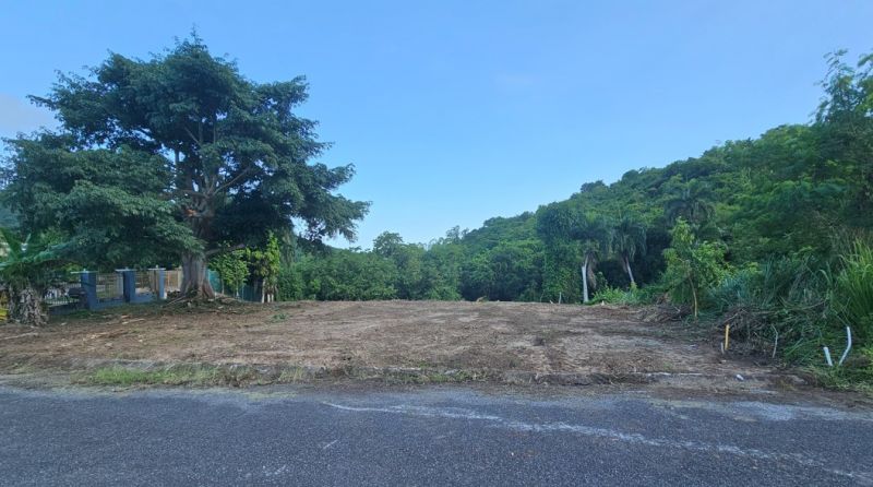 Samuel Bonet - KW Puerto Rico